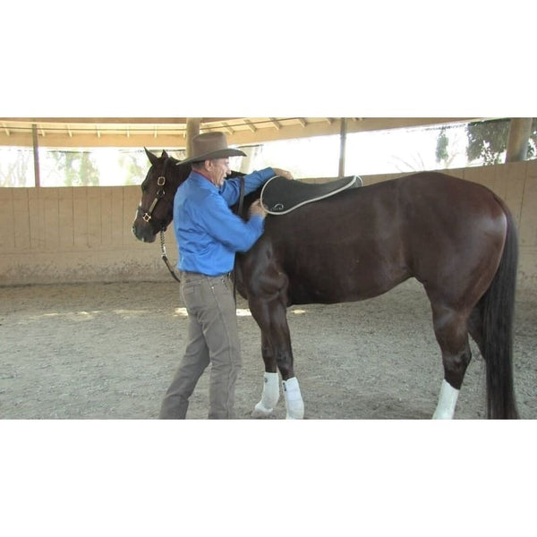 Cavallo English Raised Wither Saddle Pad - Cork Farm Equestrian
