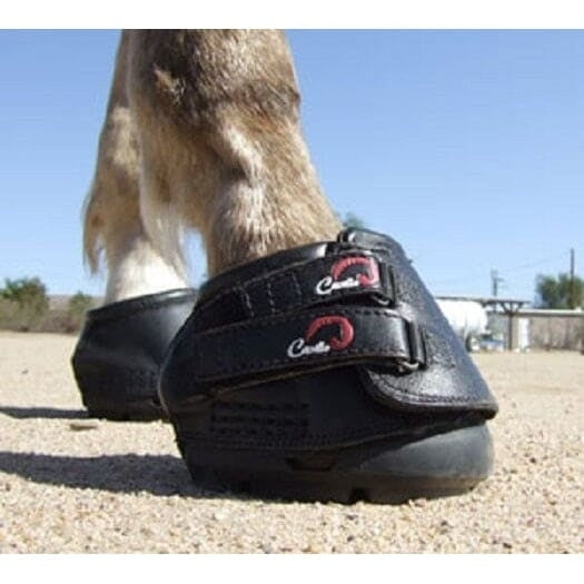 Cavallo Simple Hoof Boots Multi Purpose All Terrain Barefoot Regular ...