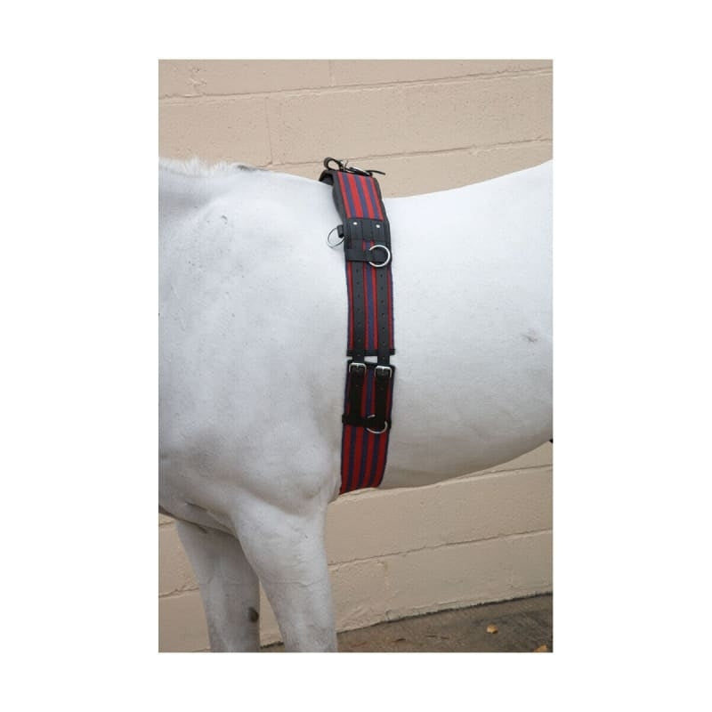 Hy Equestrian Training Roller Adjustable Webbing & Leather Lunge Roller ...